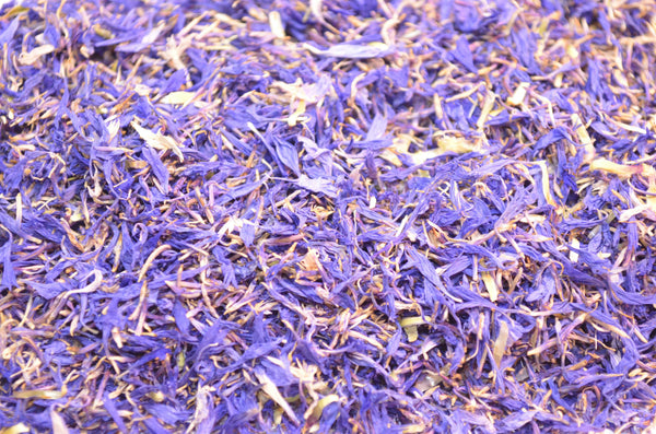 Blue Cornflower Petals - Dried Petals - DGStoreUK.com